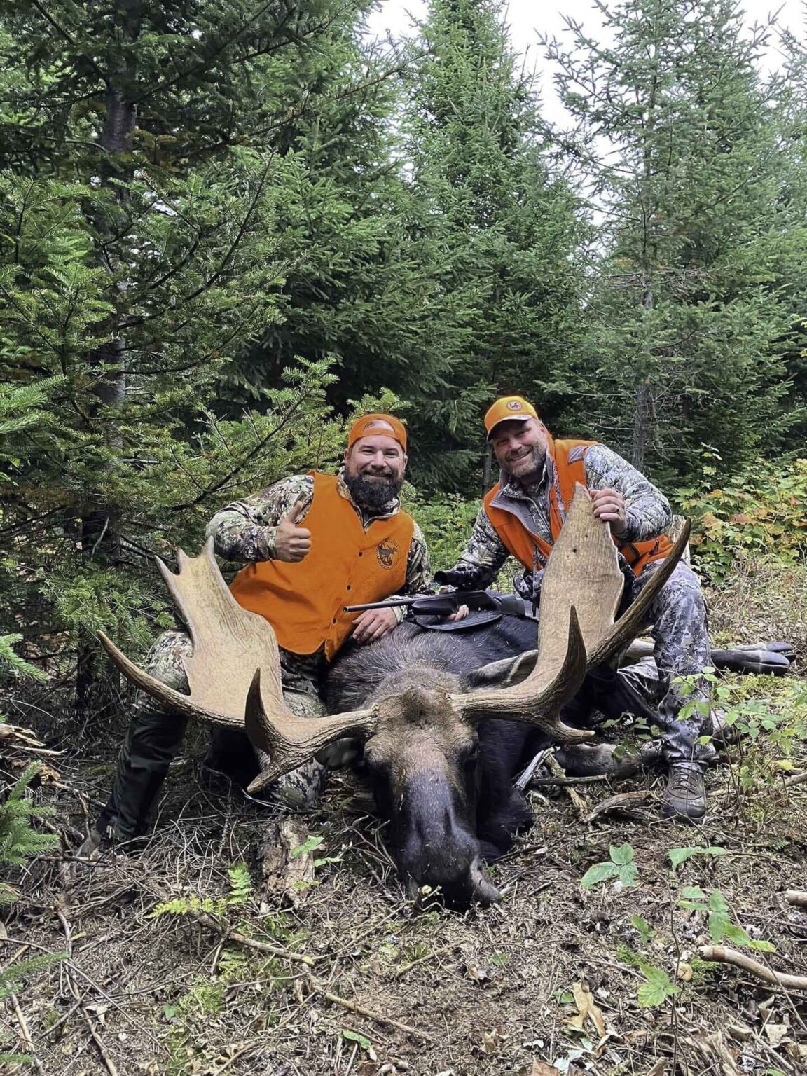 Guided Moose Hunting in New Brunswick | Williams Woods